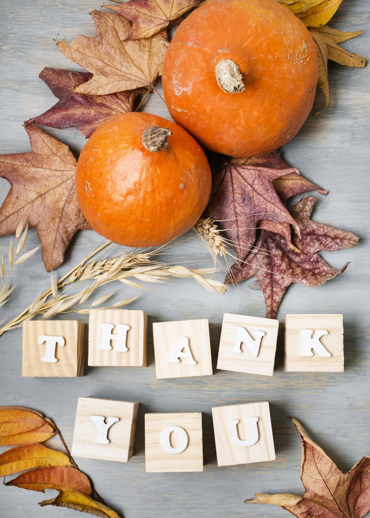 The Psychology of Gratitude: A Thanksgiving Reflection | Mindset ...