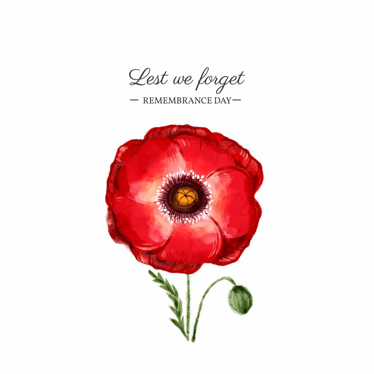 Remembrance Day: Psychological Importance of Memory